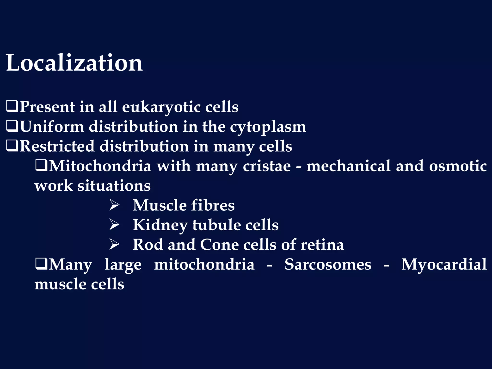 Mitochondria | PDF