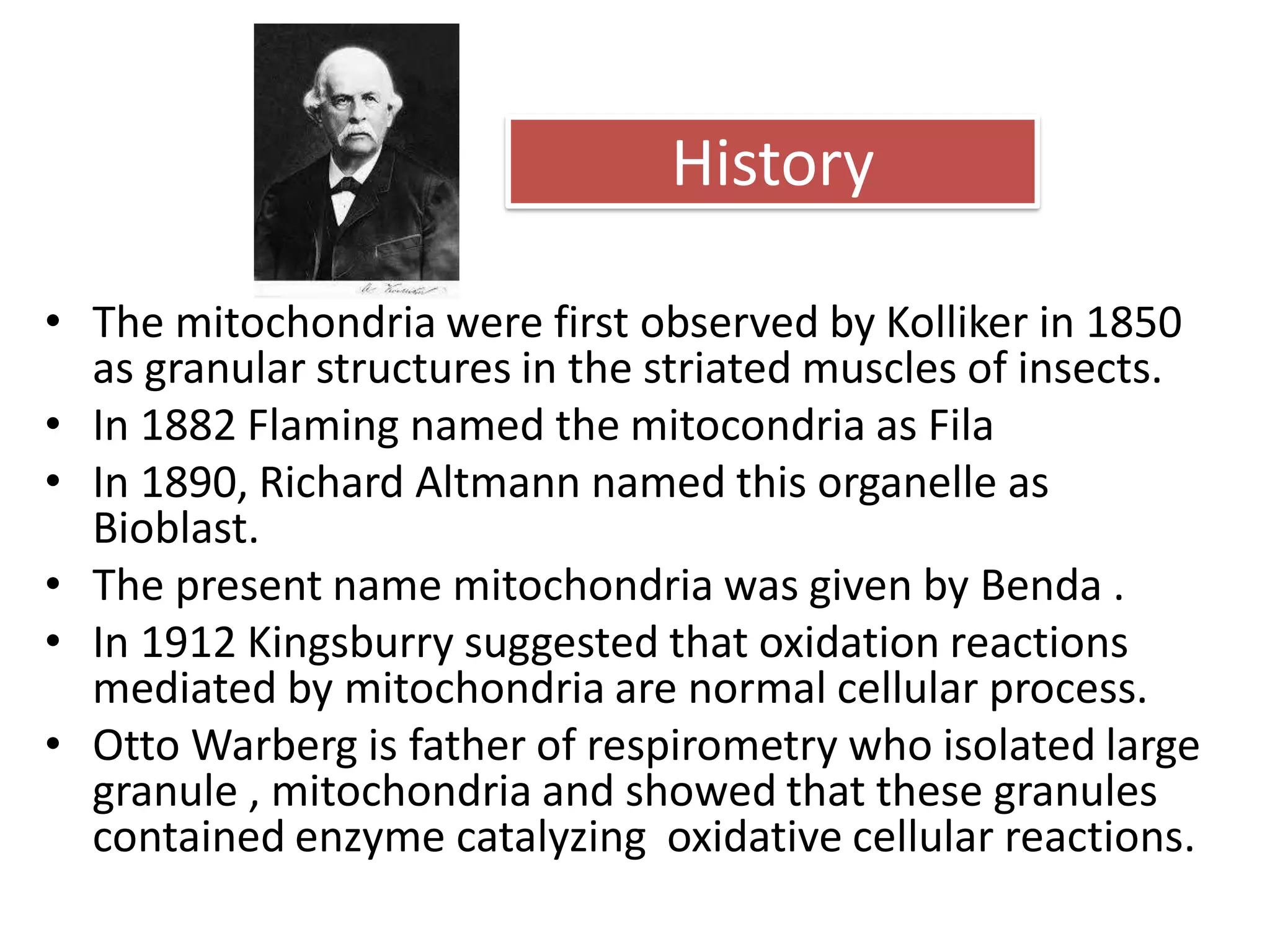 Mitochondria | PDF