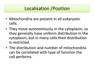 Mitochondria | PDF