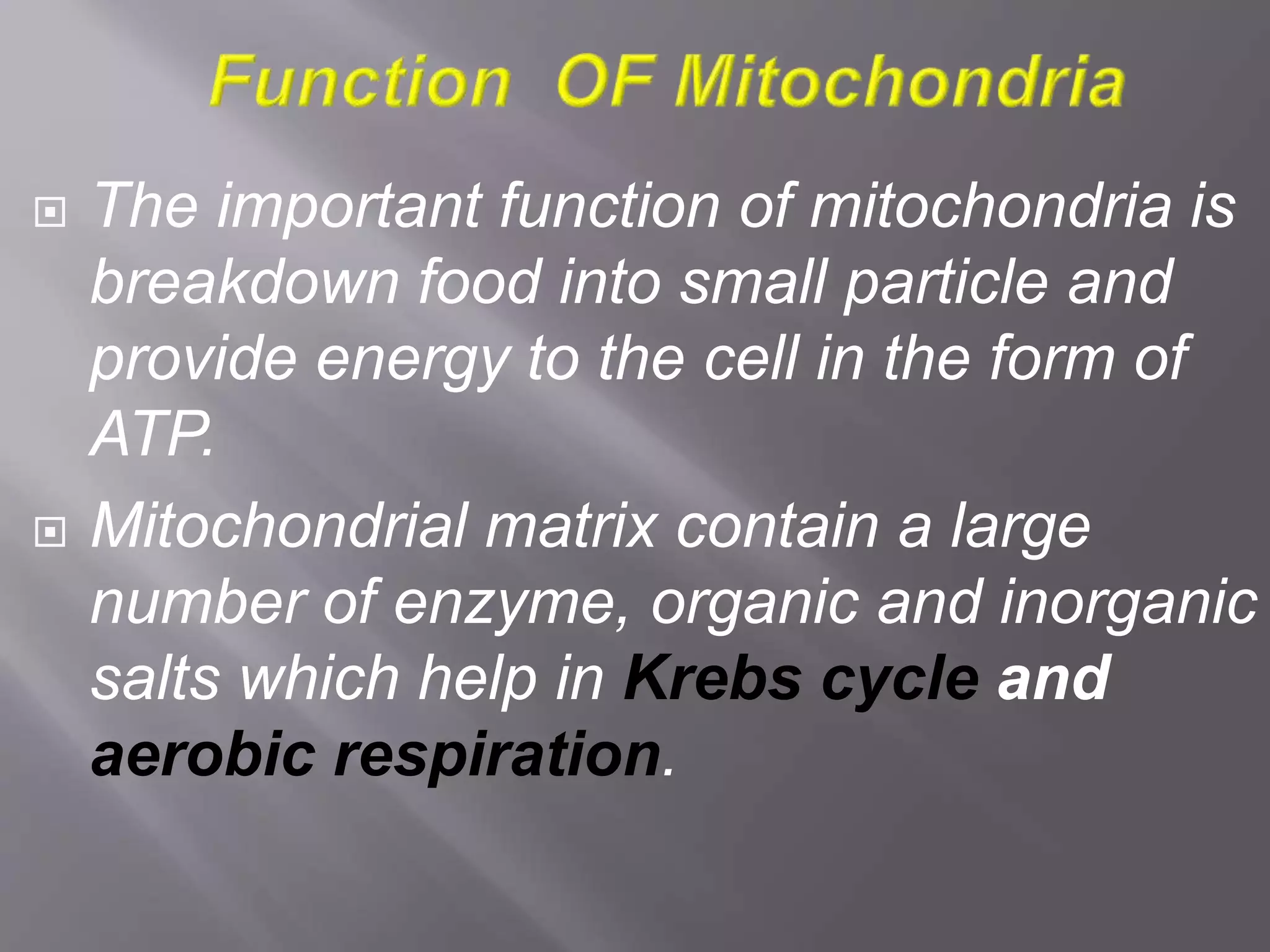 Mitochondria | PPT