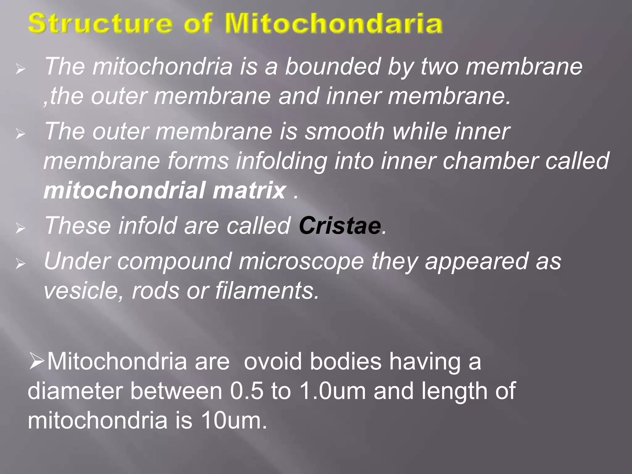 Mitochondria | PPTX