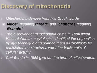 Mitochondria | PPT