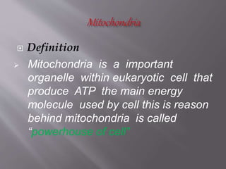 Mitochondria | PPT