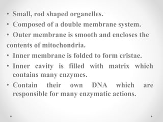 Mitochondria...pptx