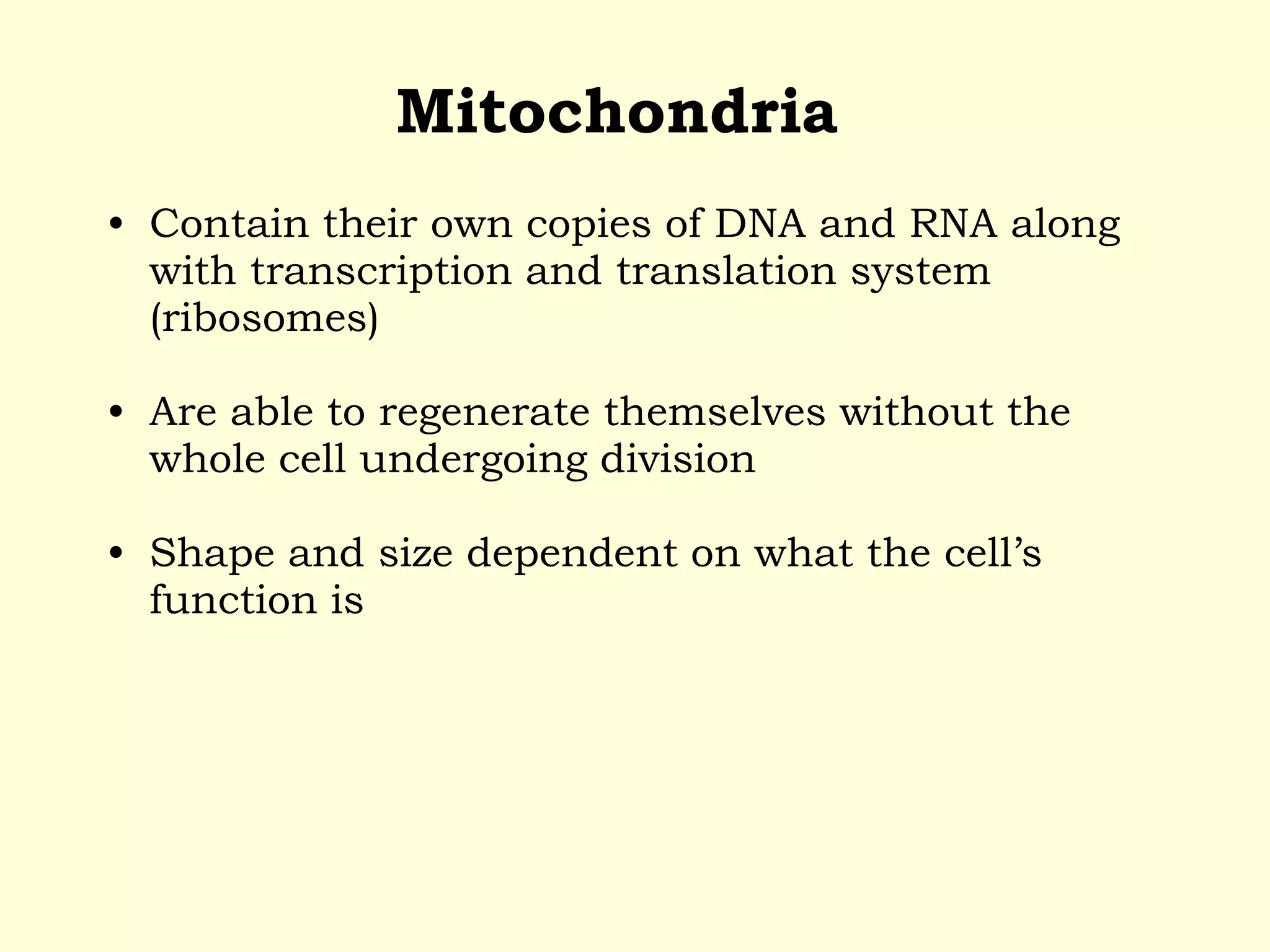 Mitochondria.pptx