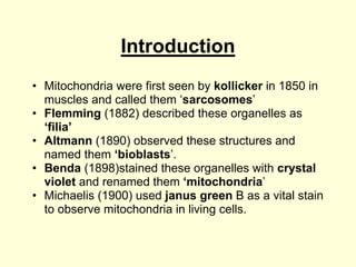 Mitochondria.pptx