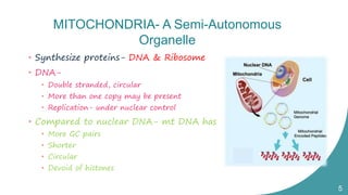 MITOCHONDRIA.ppsx