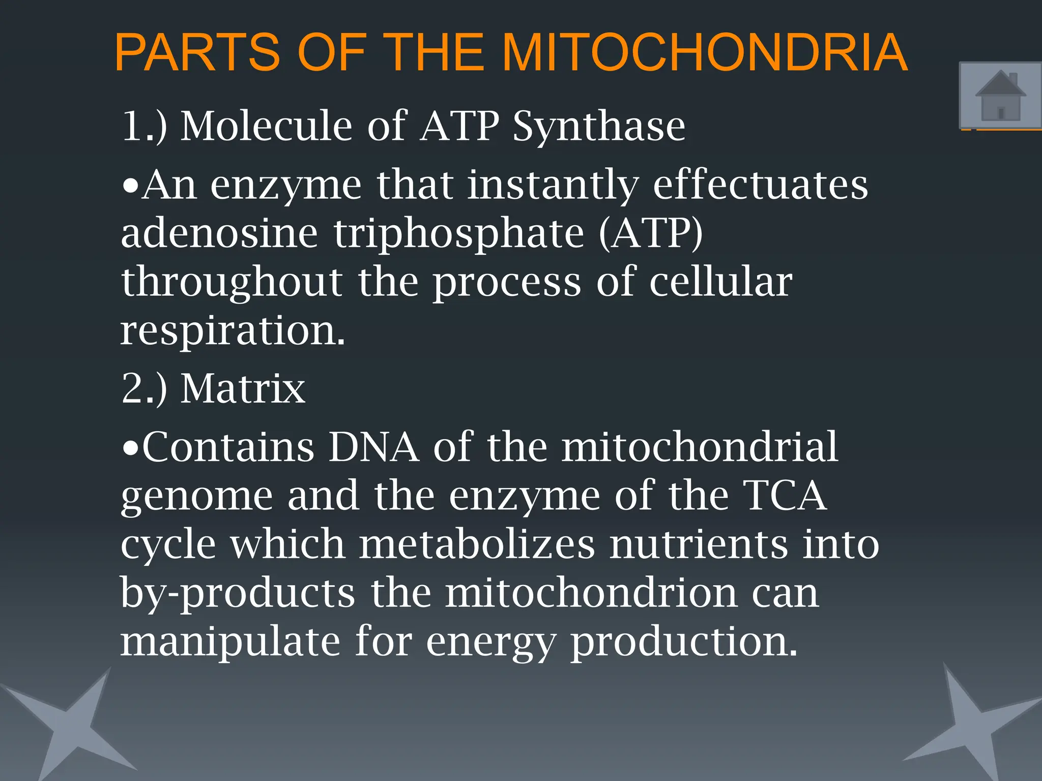 mitochondria.pptx.pdf