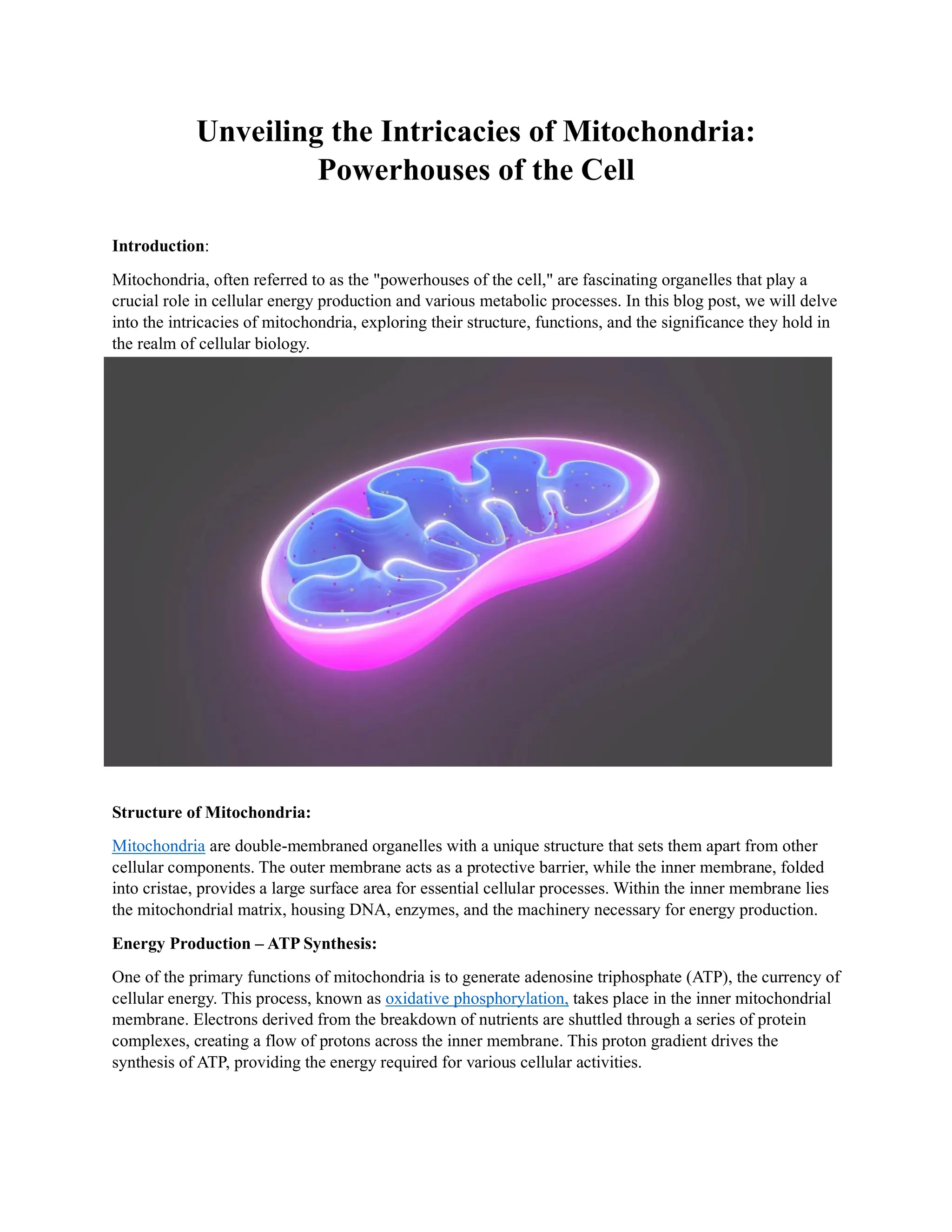 mitochondria.pdf