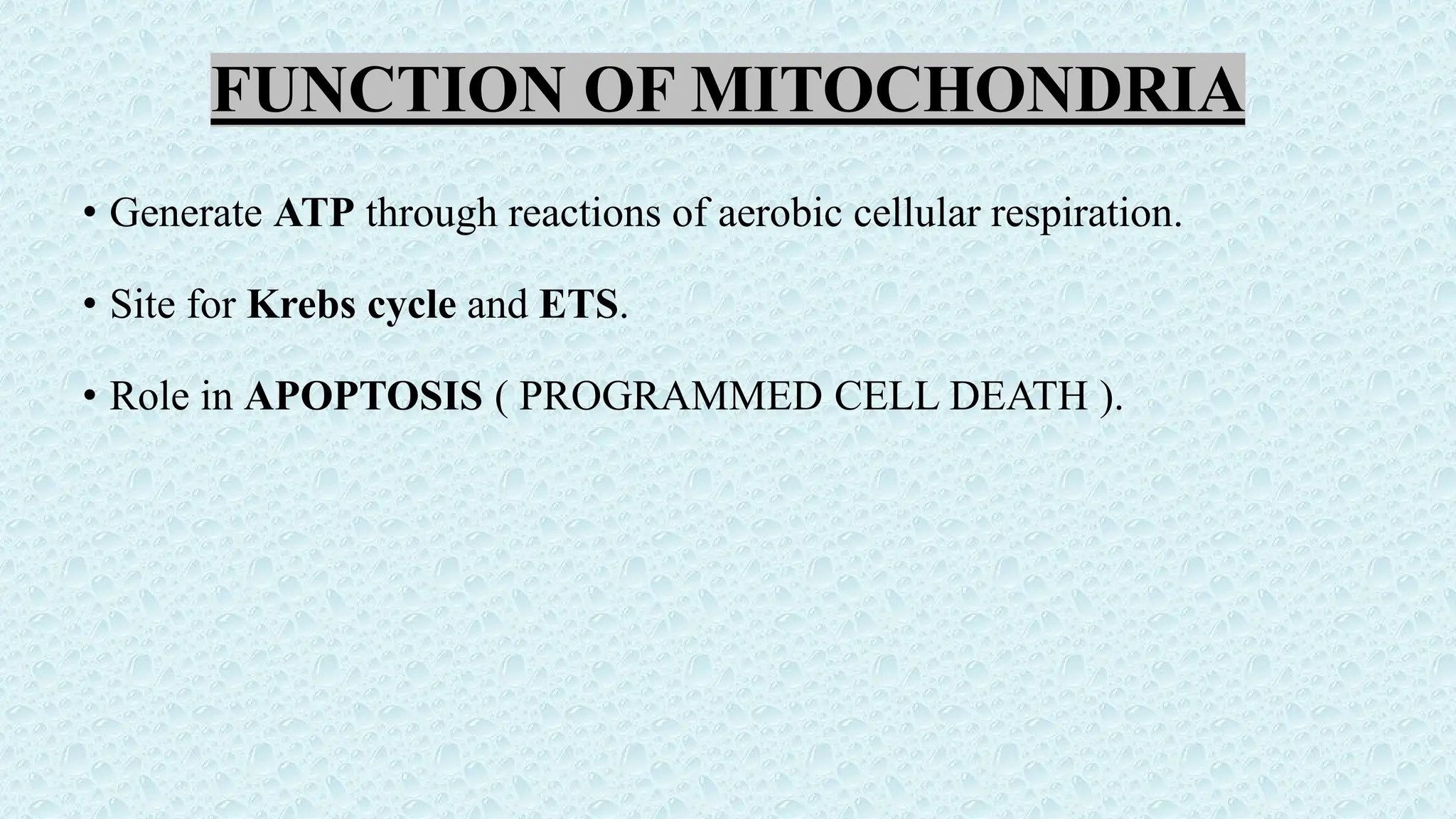 "MITOCHONDRIA" aka power house of the cell | PDF