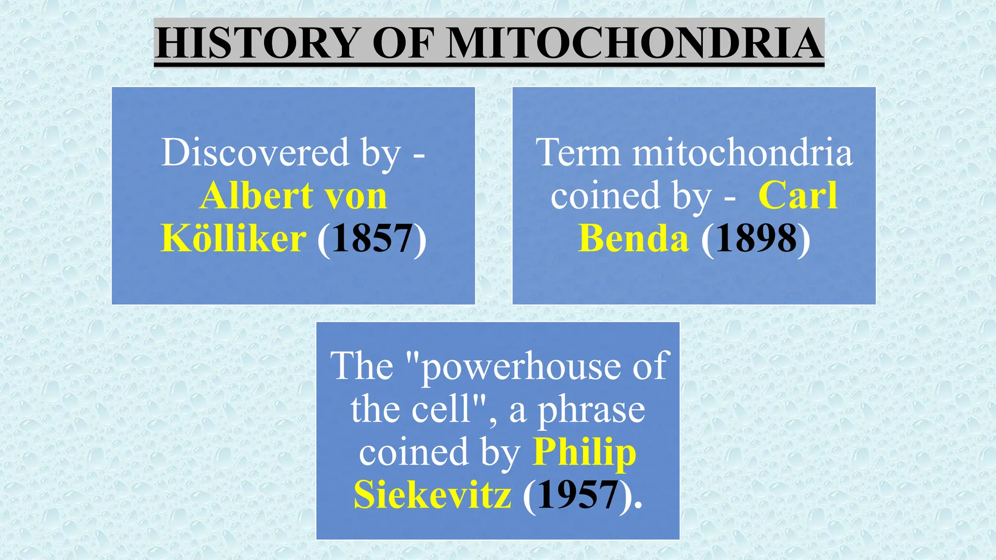 "MITOCHONDRIA" aka power house of the cell | PDF