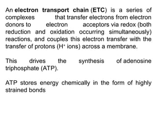 Mitochondria the power house of cell .ppt