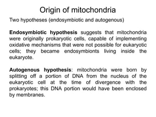 Mitochondria the power house of cell .ppt | Chemistry | Science