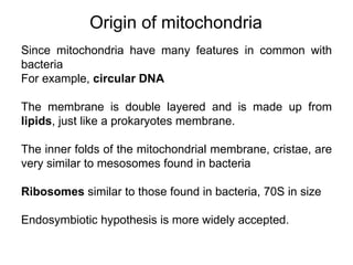 Mitochondria the power house of cell .ppt