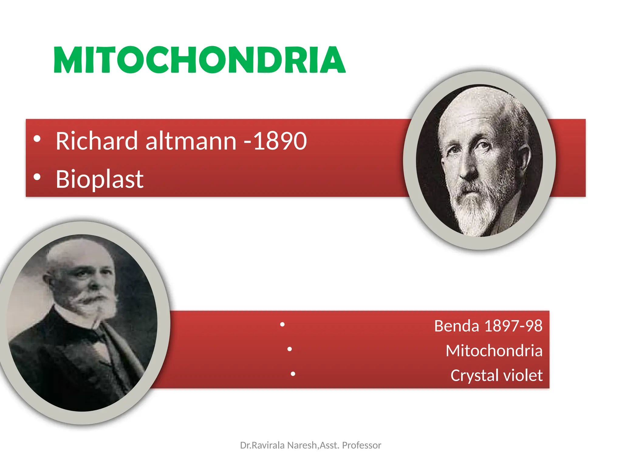 MITOCHONDRIA STRUCTURE AND FUNCTIONS | PPTX