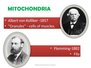MITOCHONDRIA STRUCTURE AND FUNCTIONS | PPTX