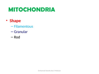 MITOCHONDRIA STRUCTURE AND FUNCTIONS | PPTX