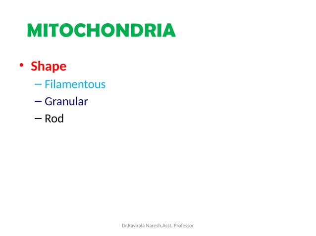 MITOCHONDRIA STRUCTURE AND FUNCTIONS | PPT