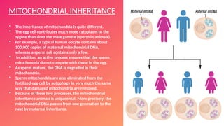 MITOCHONDRIA: STRUCTURE, FUNCTIONS AND DISEASES | PPTX