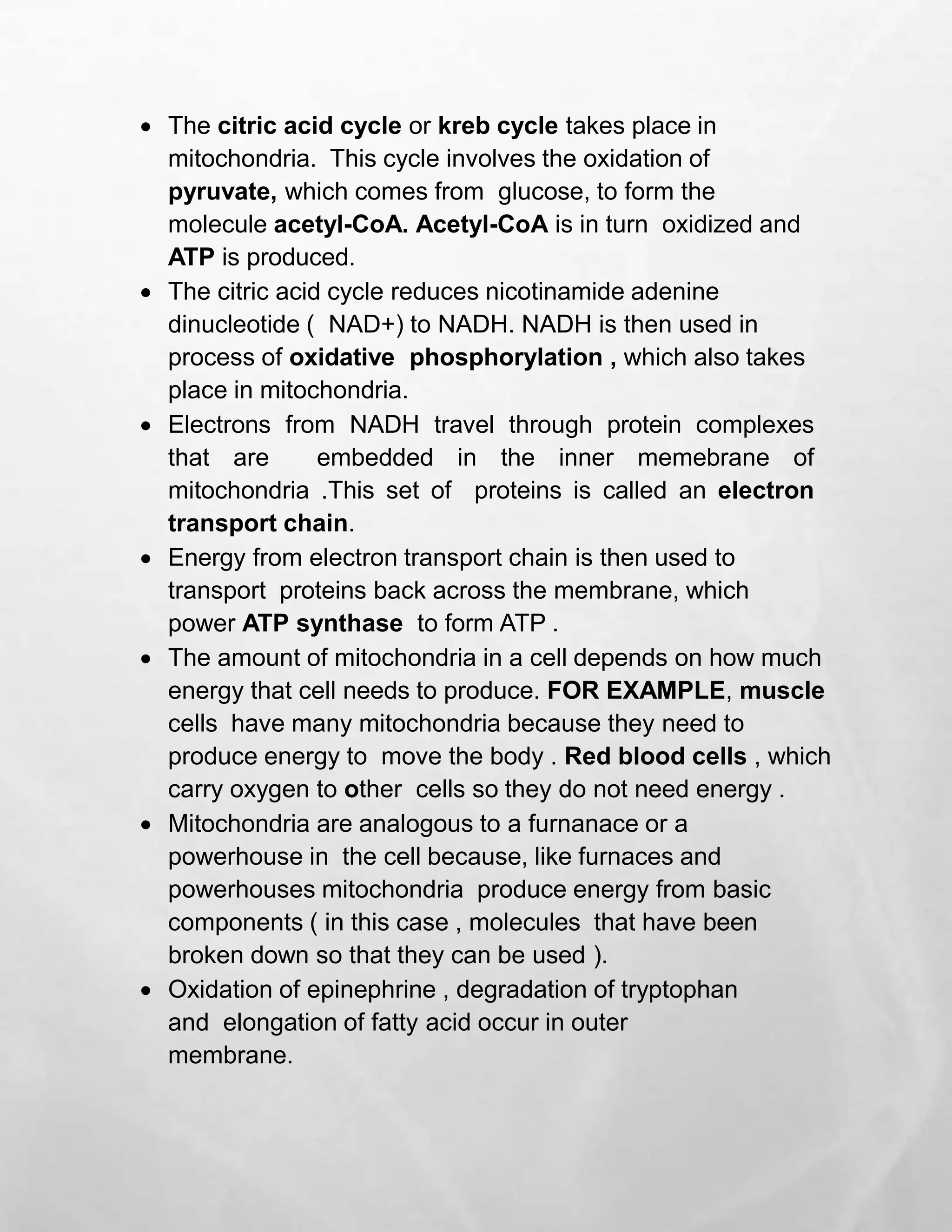 Mitochondria converted-converted-converted | PPTX