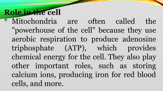 Cell and molecukar -MITOCHONDRIA-REPORT.pptx