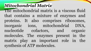 Cell and molecukar -MITOCHONDRIA-REPORT.pptx