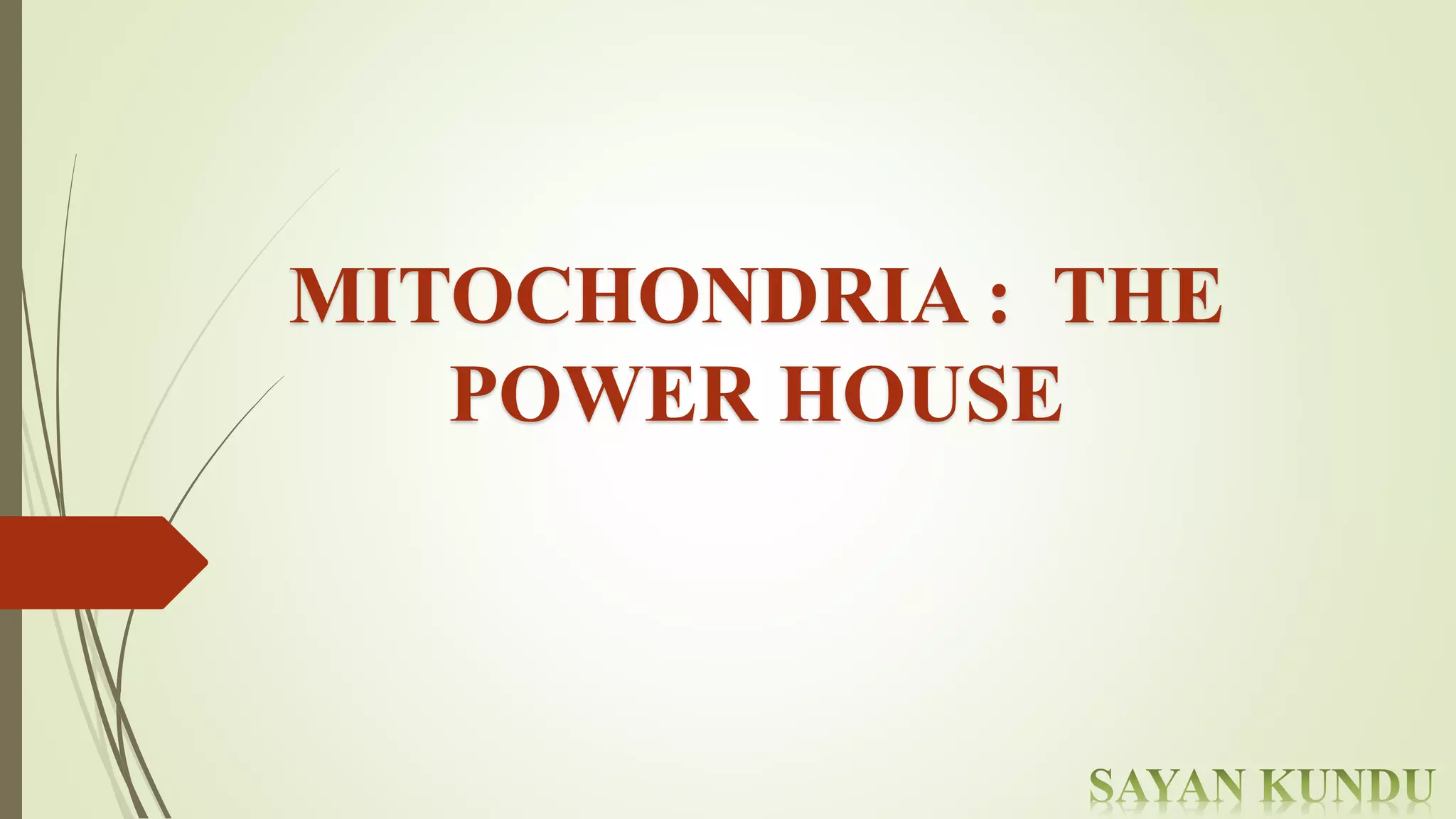 MITOCHONDRIA (1).pdf