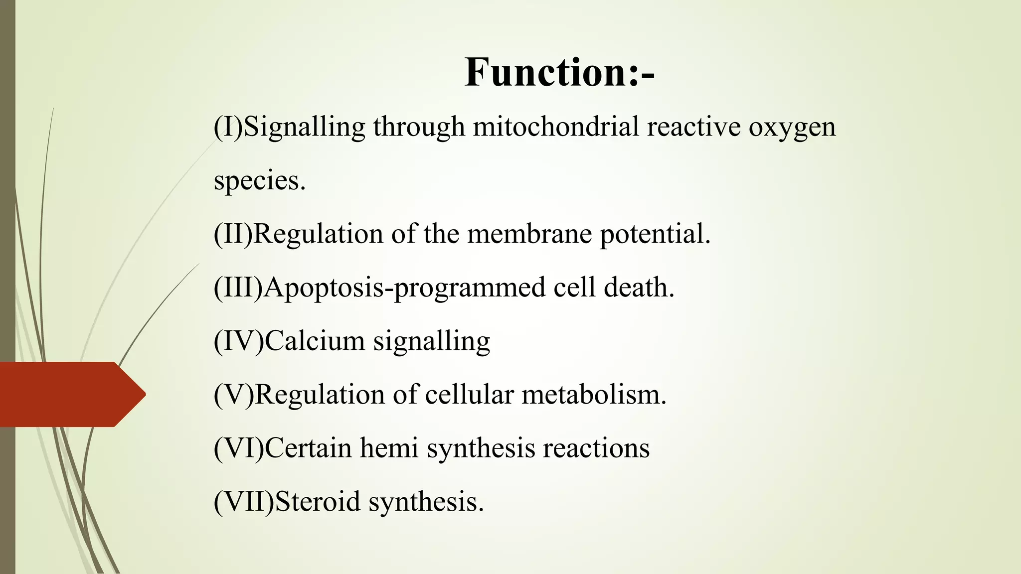MITOCHONDRIA (1).pdf