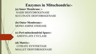 MITOCHONDRIA .pdf