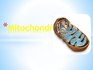 Mitochondria 2 | PPTX