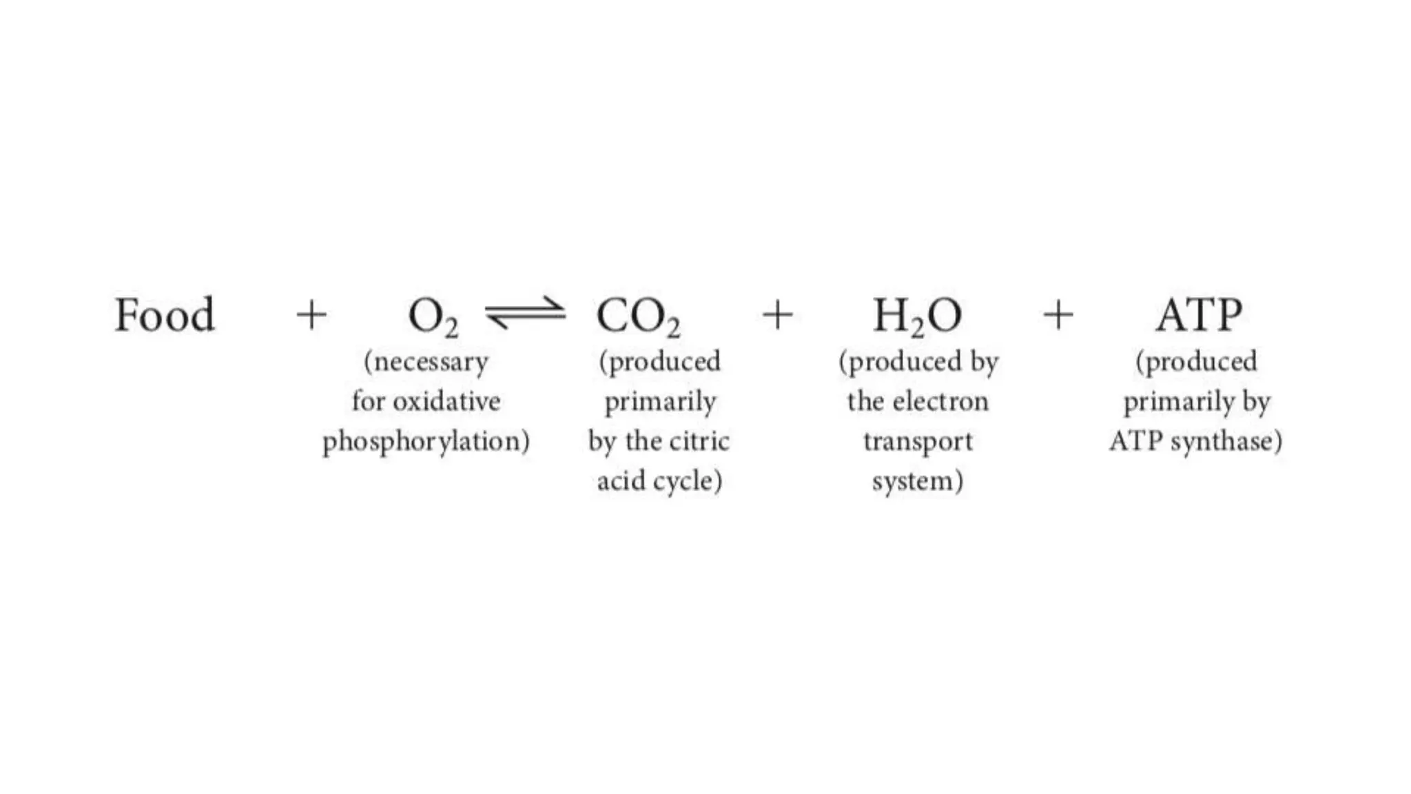 Mitochondria and ATP production | PPTX