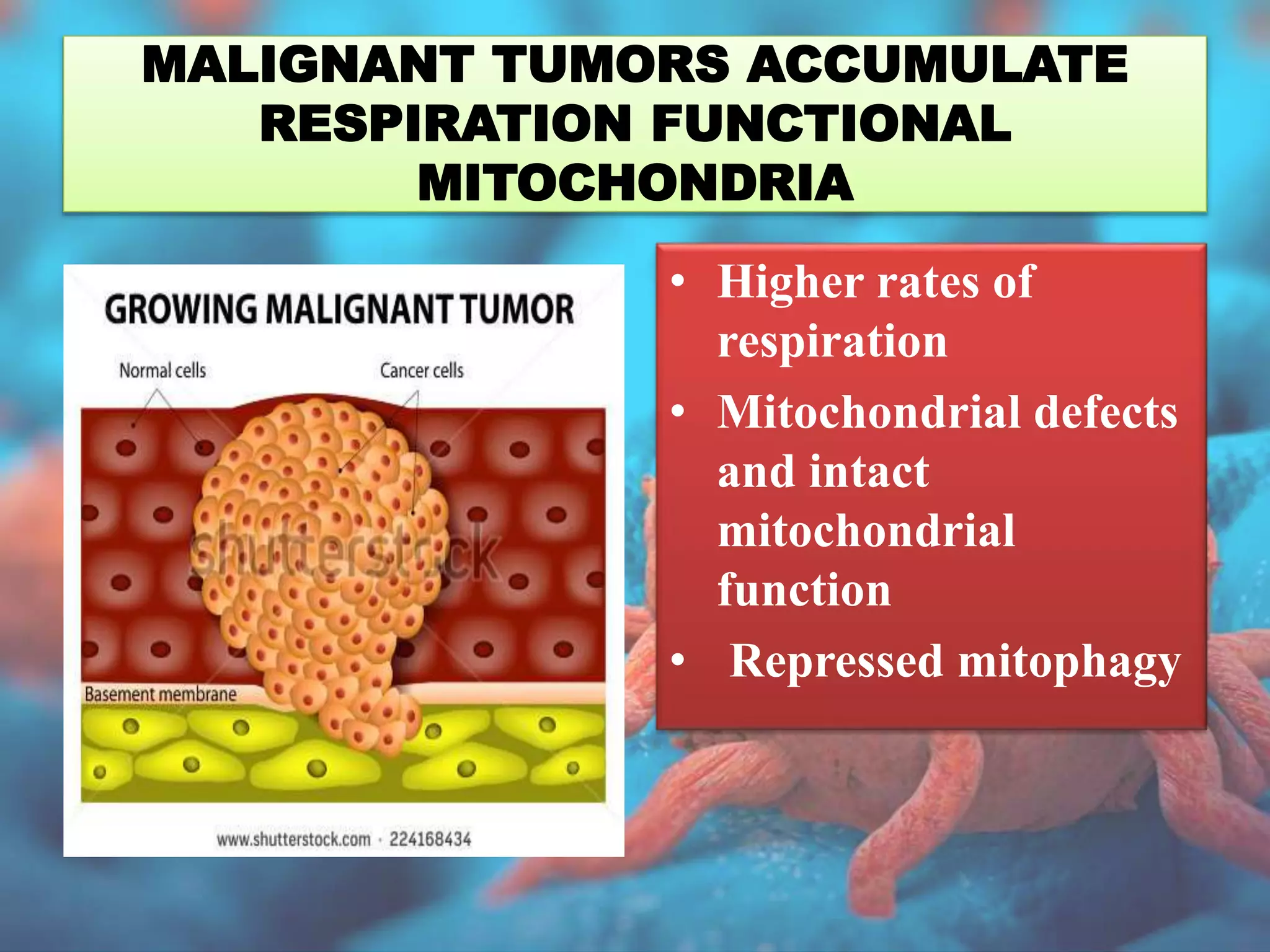 Mitochondria and cancer | PPTX