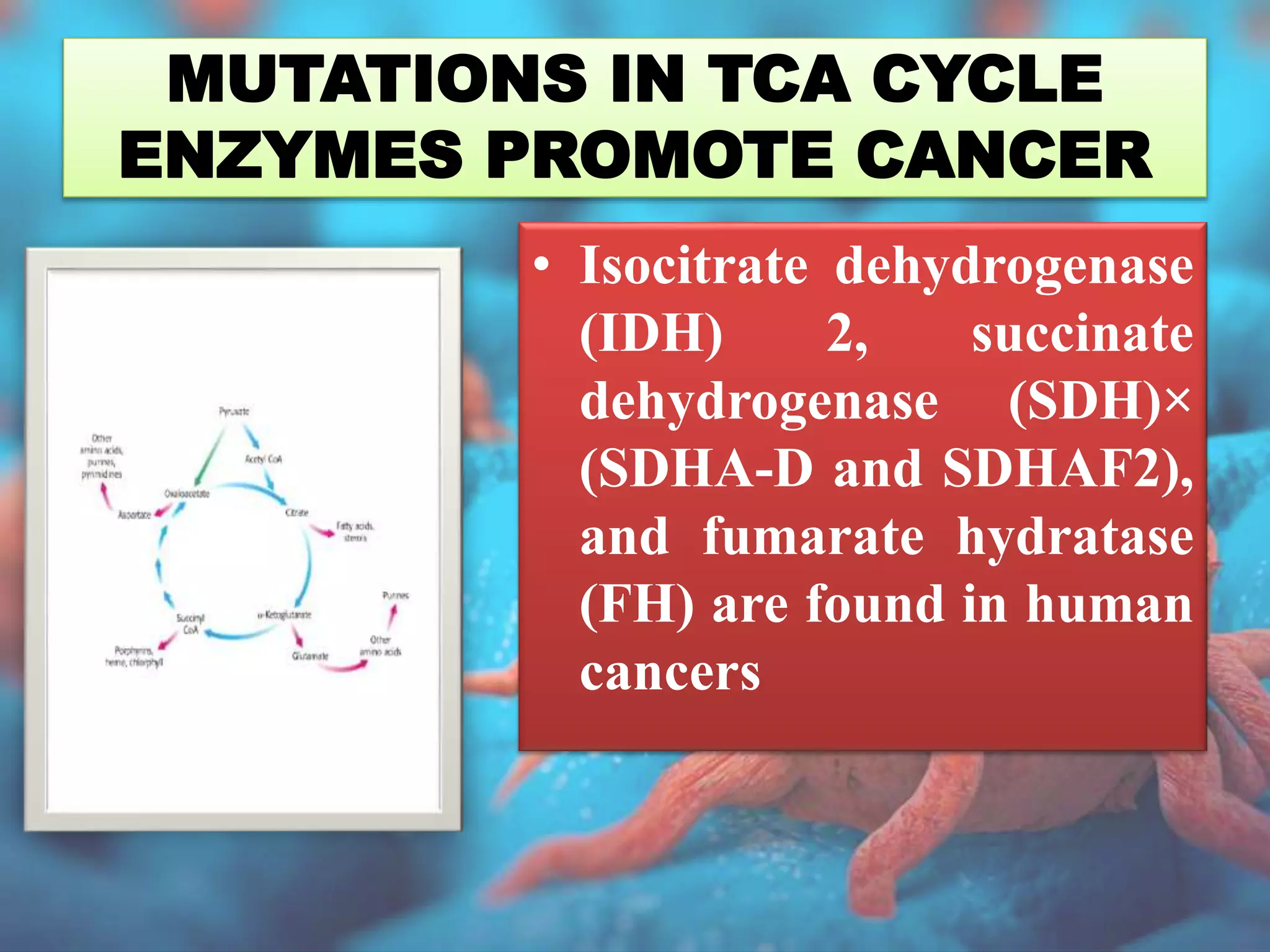 Mitochondria and cancer | PPTX