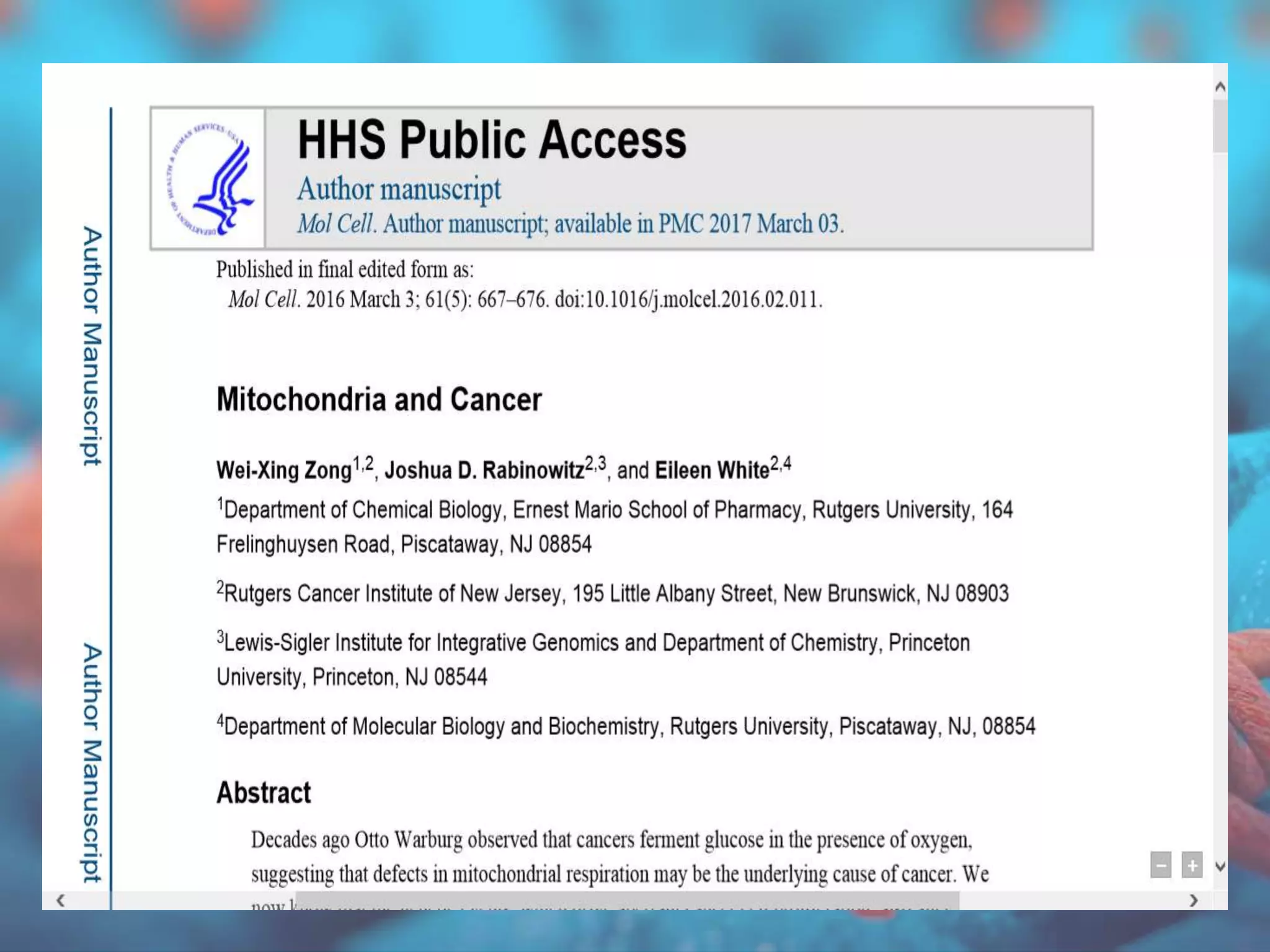 Mitochondria and cancer | PPTX