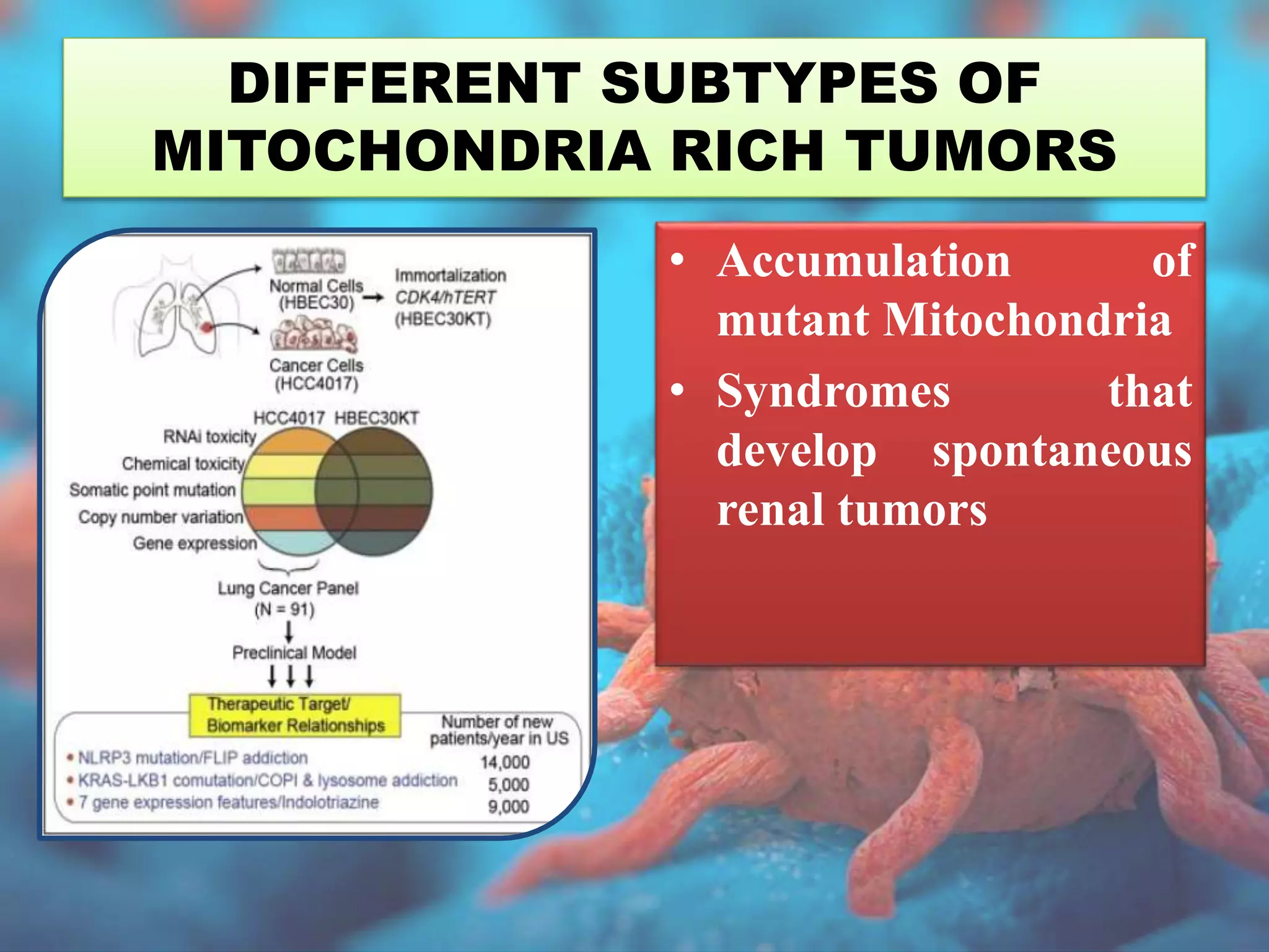Mitochondria and cancer | PPTX