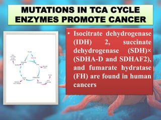 Mitochondria and cancer | PPTX