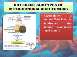 Mitochondria and cancer | PPTX