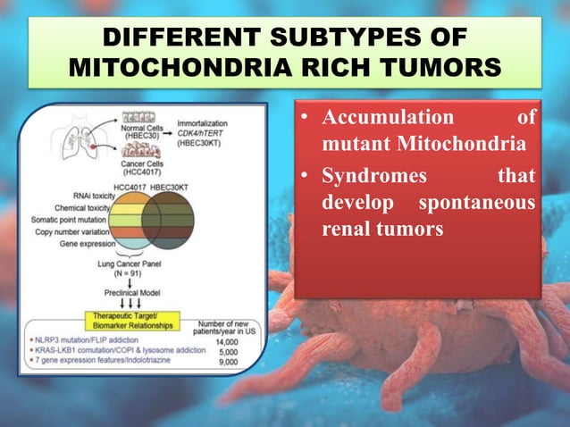 Mitochondria and cancer | PPTX | Genetics | Science