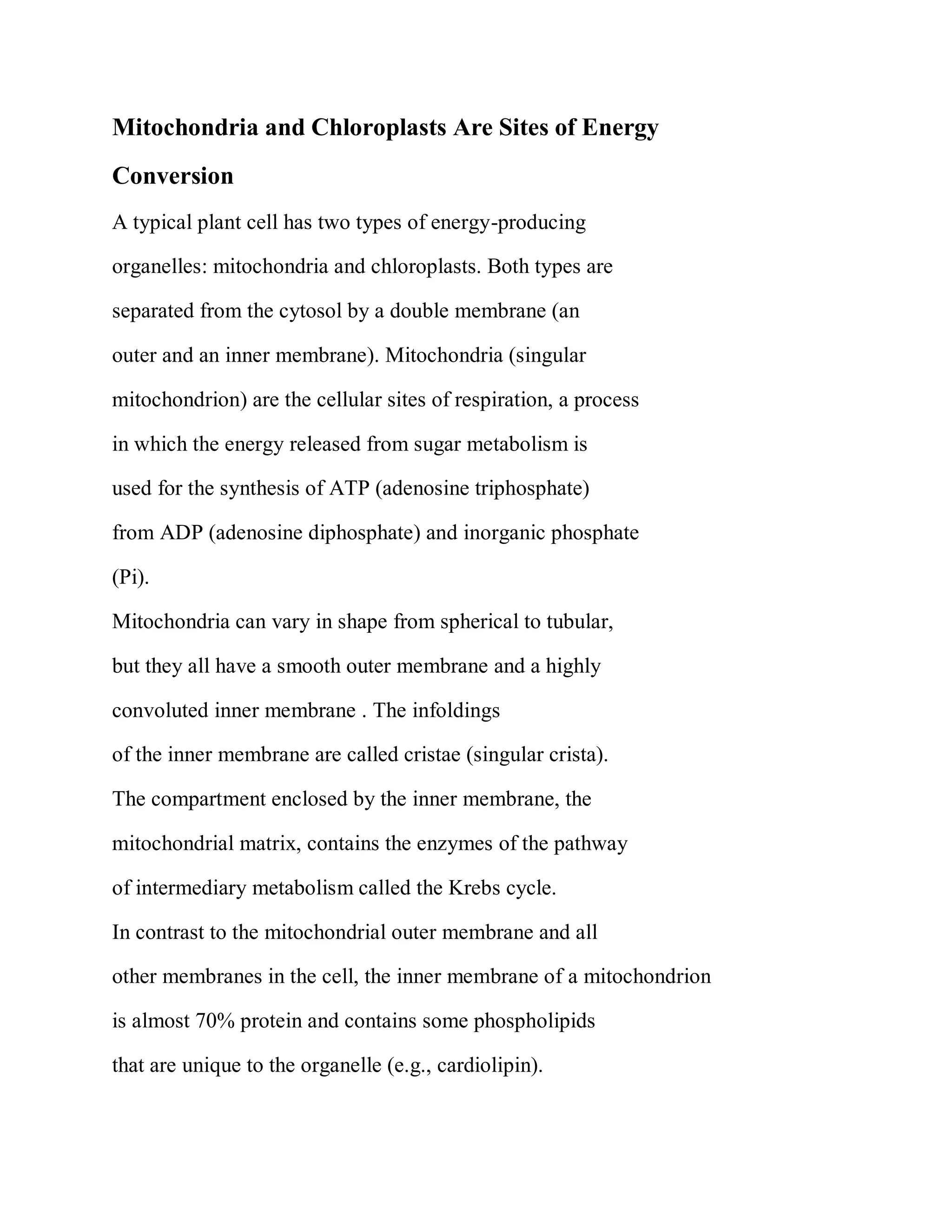 Mitochondria and Chloroplasts Are Sites of Energy.pdf | Chemistry | Science
