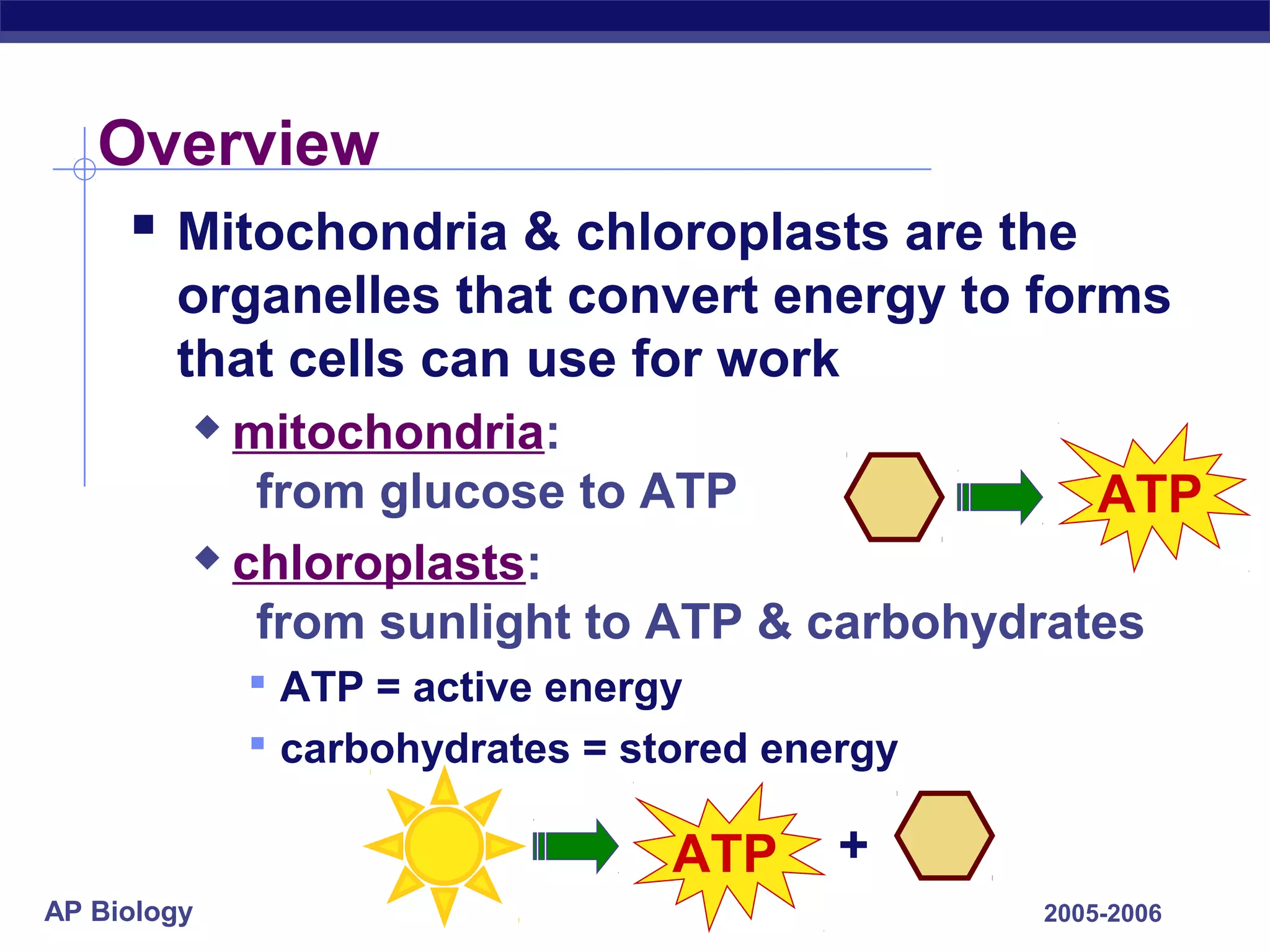 Mitochondria and chloroplasts ppt | PPT