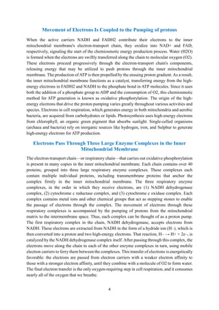 Mitochondria and it's role in Cellular Respiration.docx