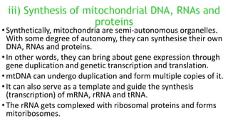 mitochondria biogenesis and functions.pptx