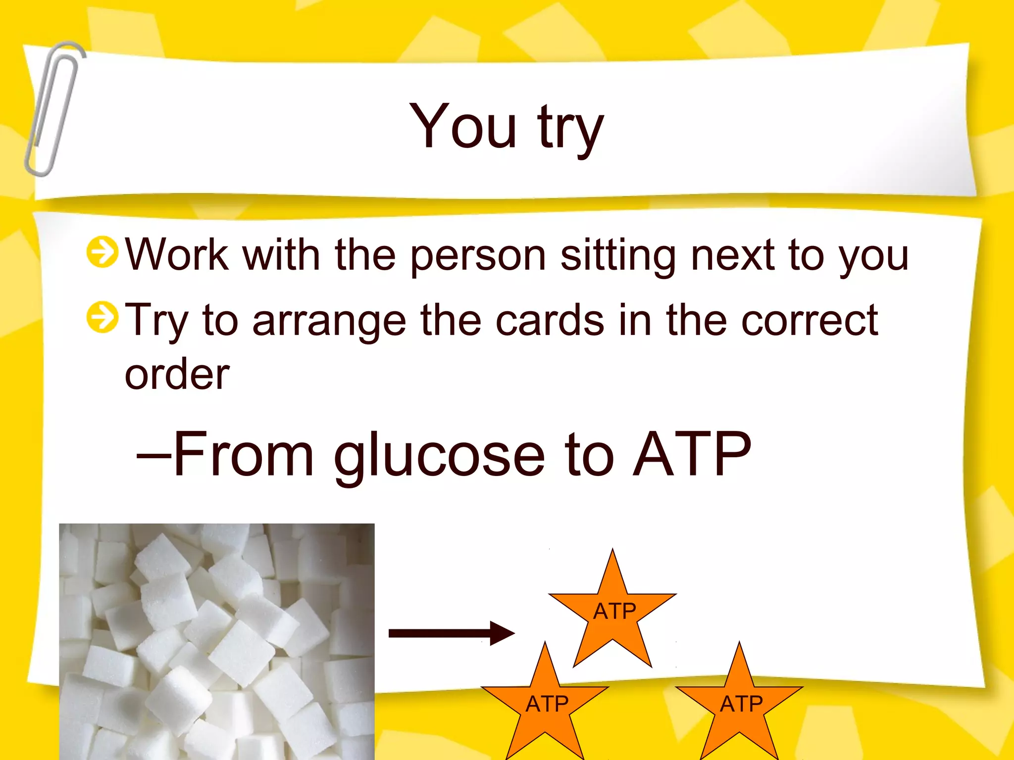Mitochondria lesson the basics of glucose to ATP production | PPT