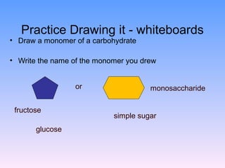 Mitochondria lesson the basics of glucose to ATP production | PPT