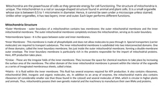 Mitochondria_full.pptx for calcutta university | PPTX