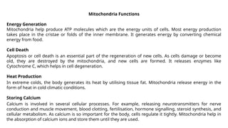 Mitochondria_full.pptx for calcutta university | PPTX