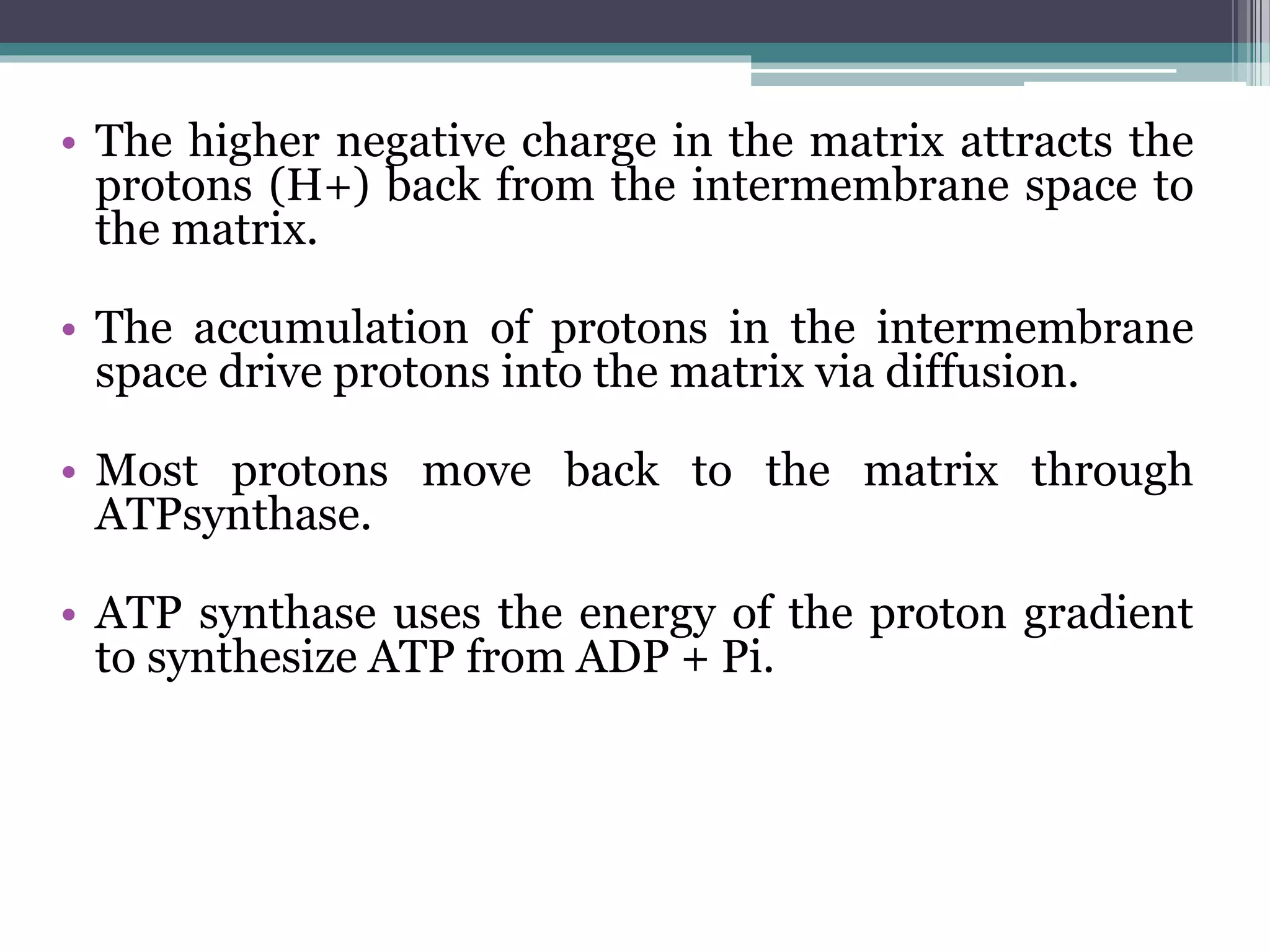 Mitochondrial and bacterial electron transport, oxidation reduction by ...