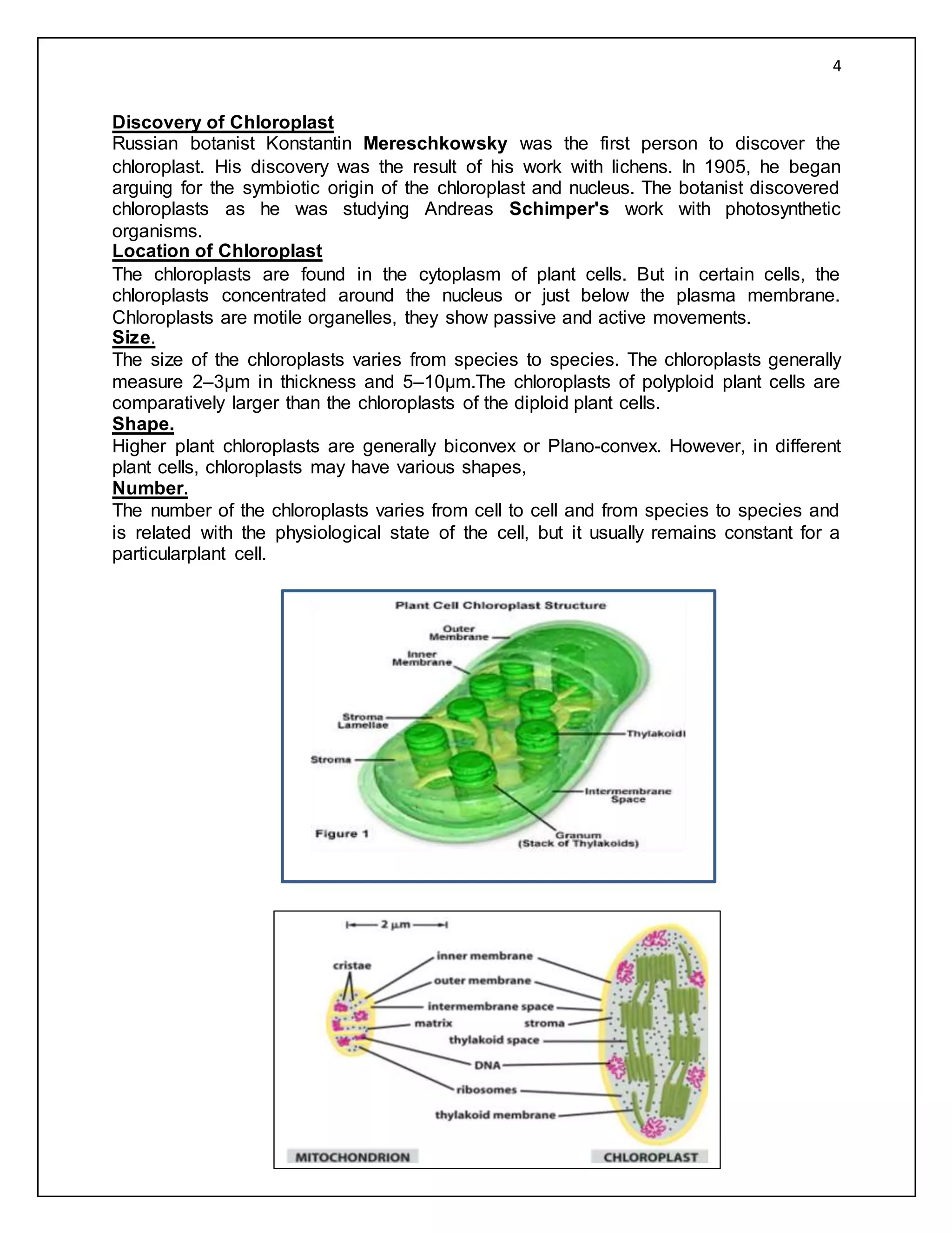 Mitochondrial and chloroplast DNA | DOCX