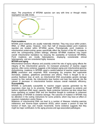 Mitochondrial and chloroplast DNA | DOCX