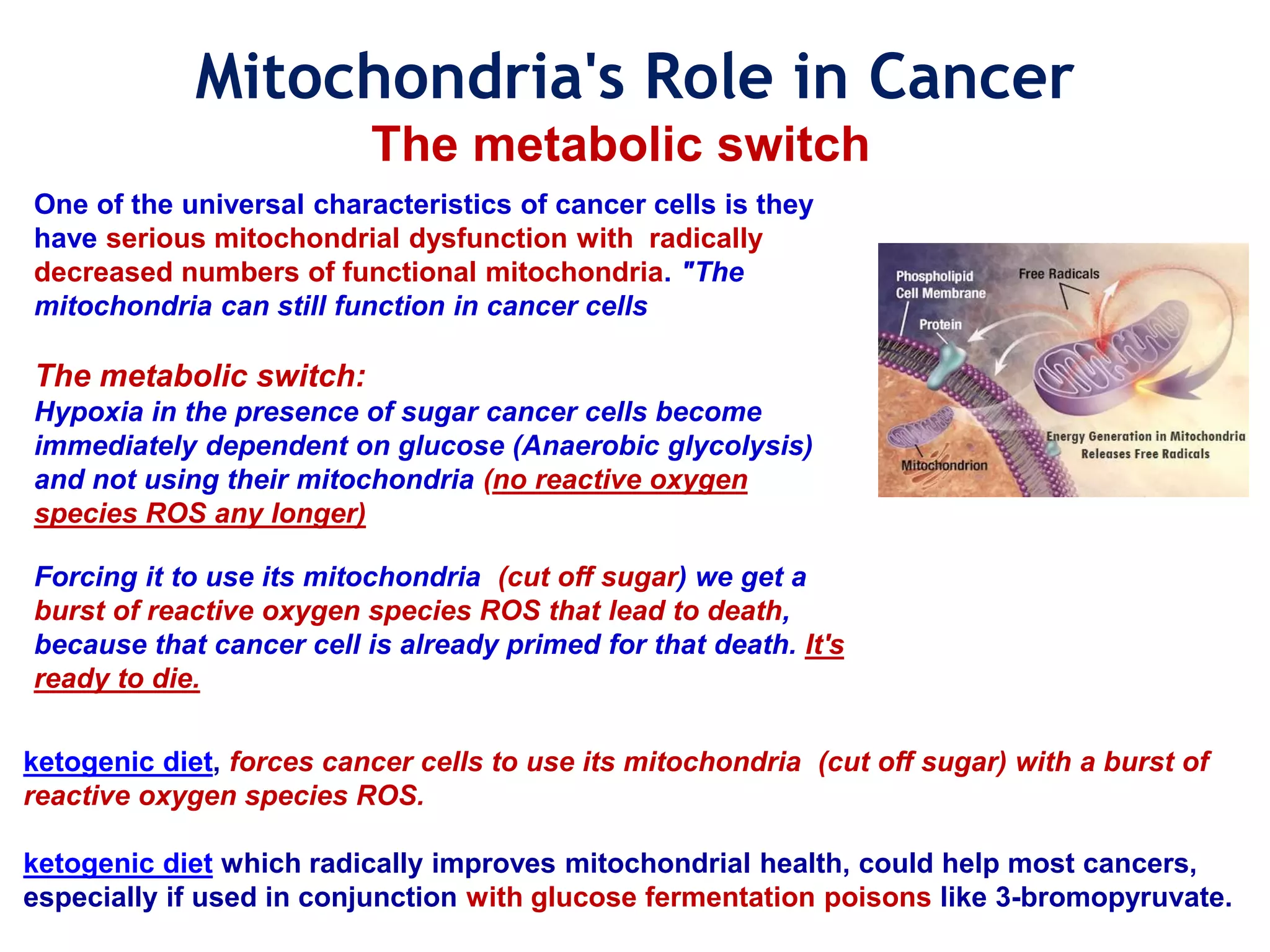 Mitochondrial biogenesis updated | PPTX